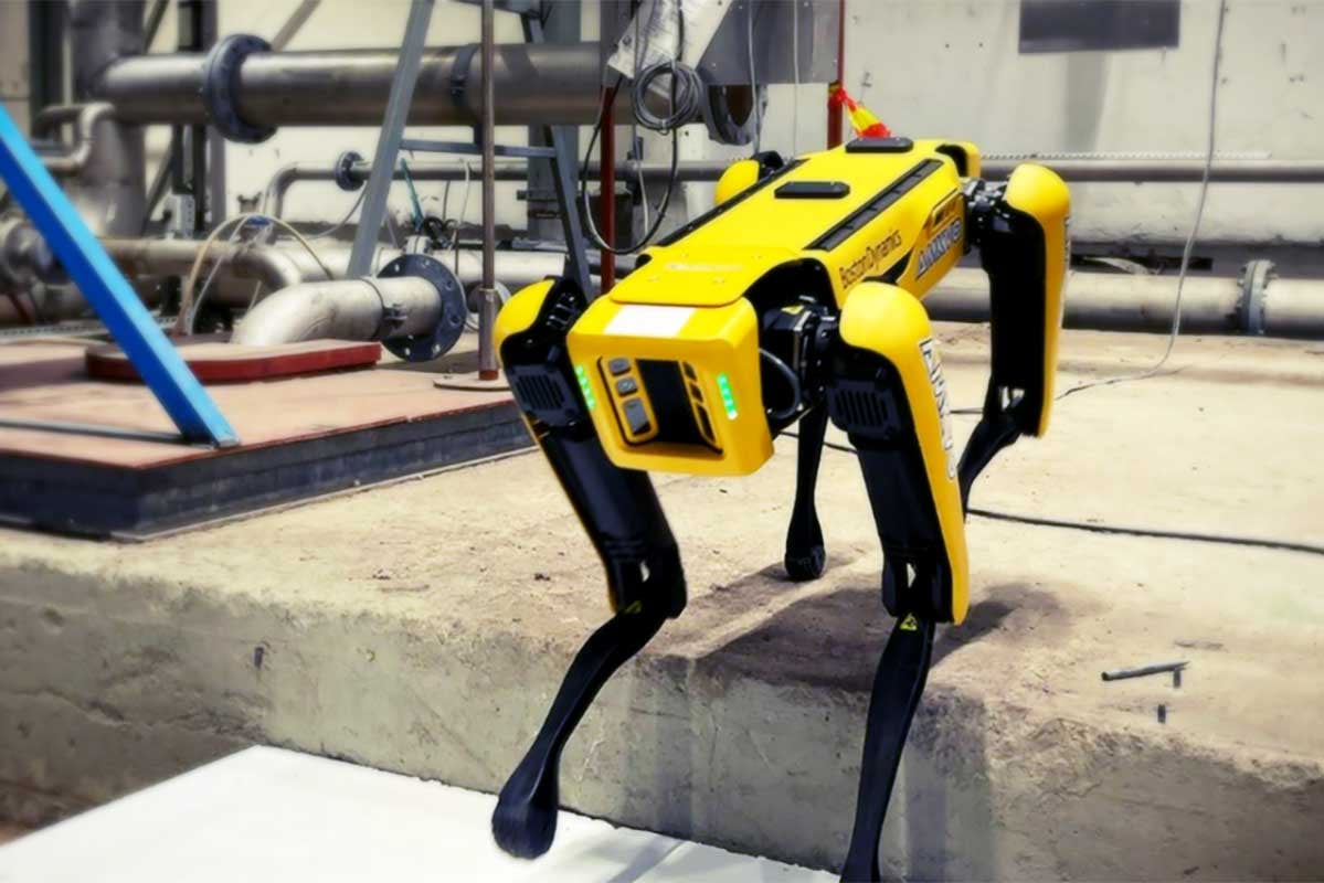 Robothunden kan spåra dygnet runt