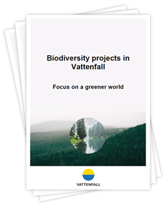 Ladda broschyren: Biodiversity projects in Vattenfall | Vattenfall