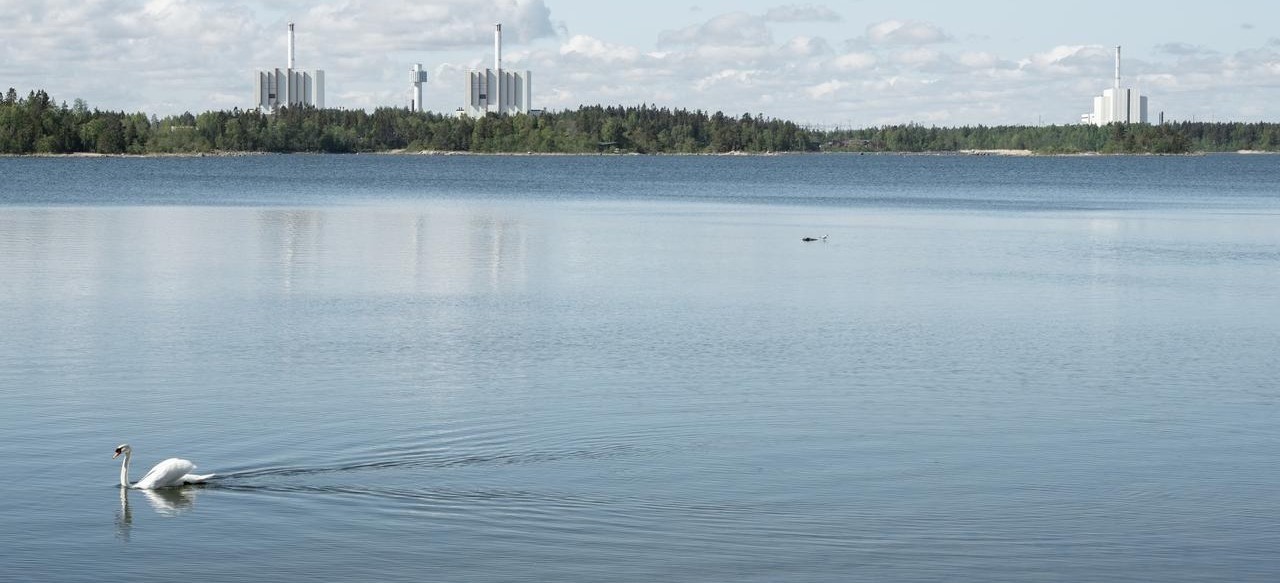 Varmvatten från Forsmark skapar oväntade naturvärden