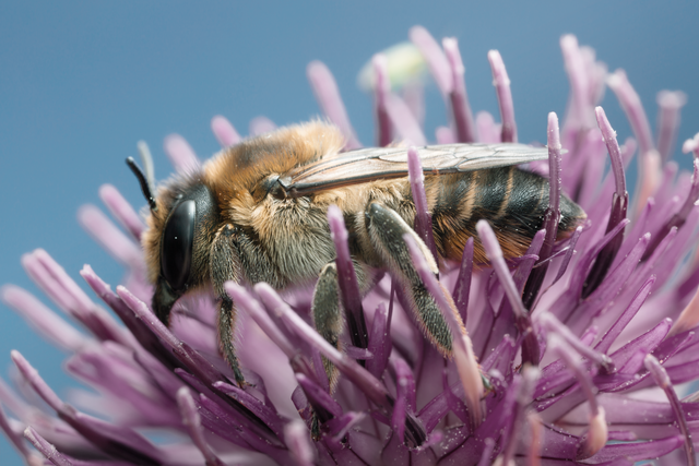 Hållbart Näringsliv: Därför är klimatanpassning och biologisk mångfald ...