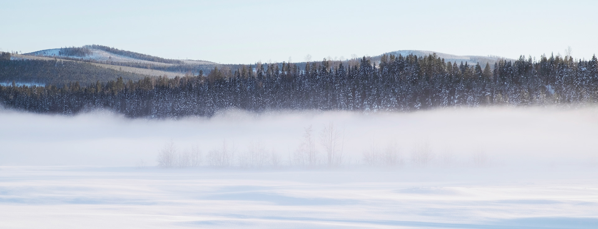 Hur blir elmarknaden i vinter?